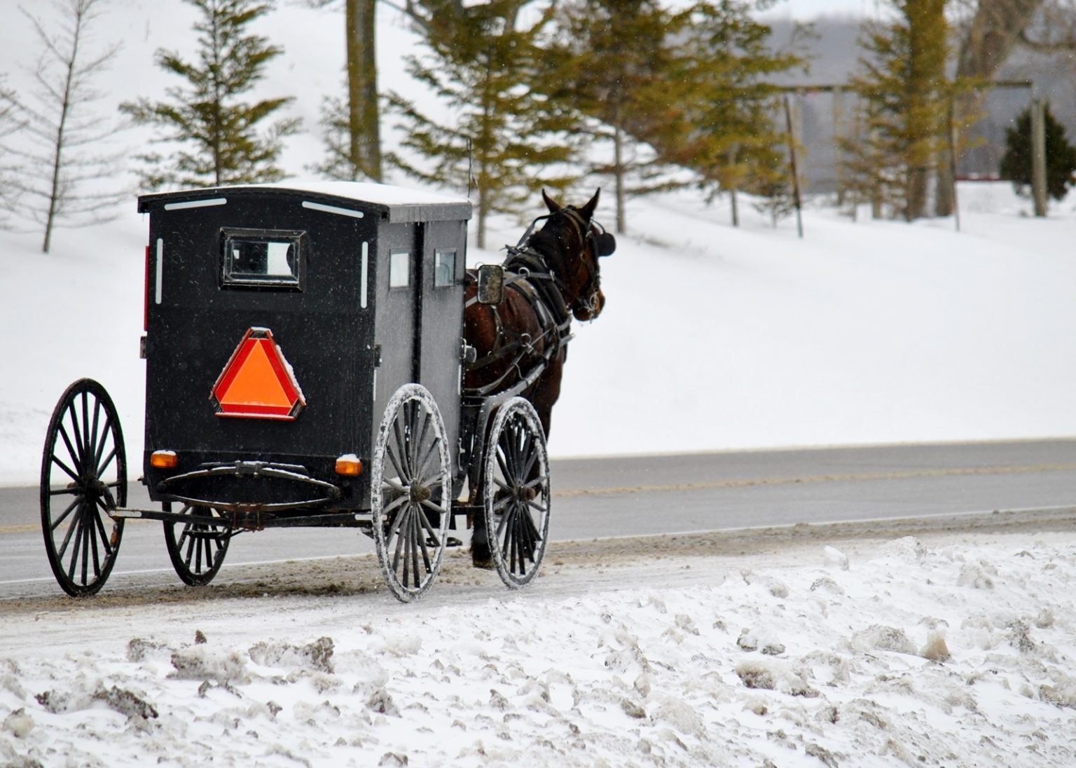 Amish Christmas Traditions: A Simple and Meaningful Celebration - The ...